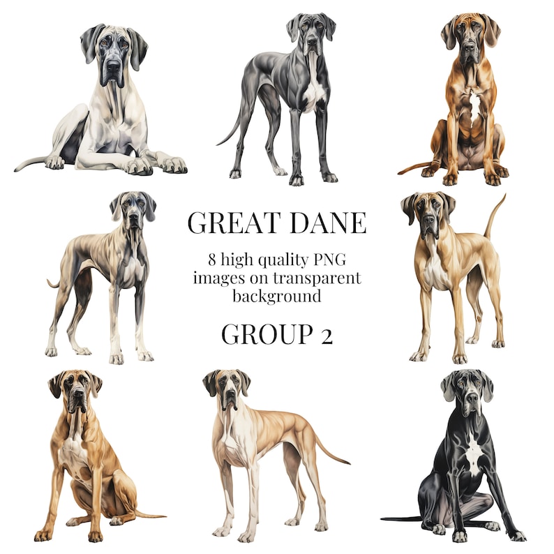 Great Dane Clipart | High-quality Transparent PNG | Watercolor ...