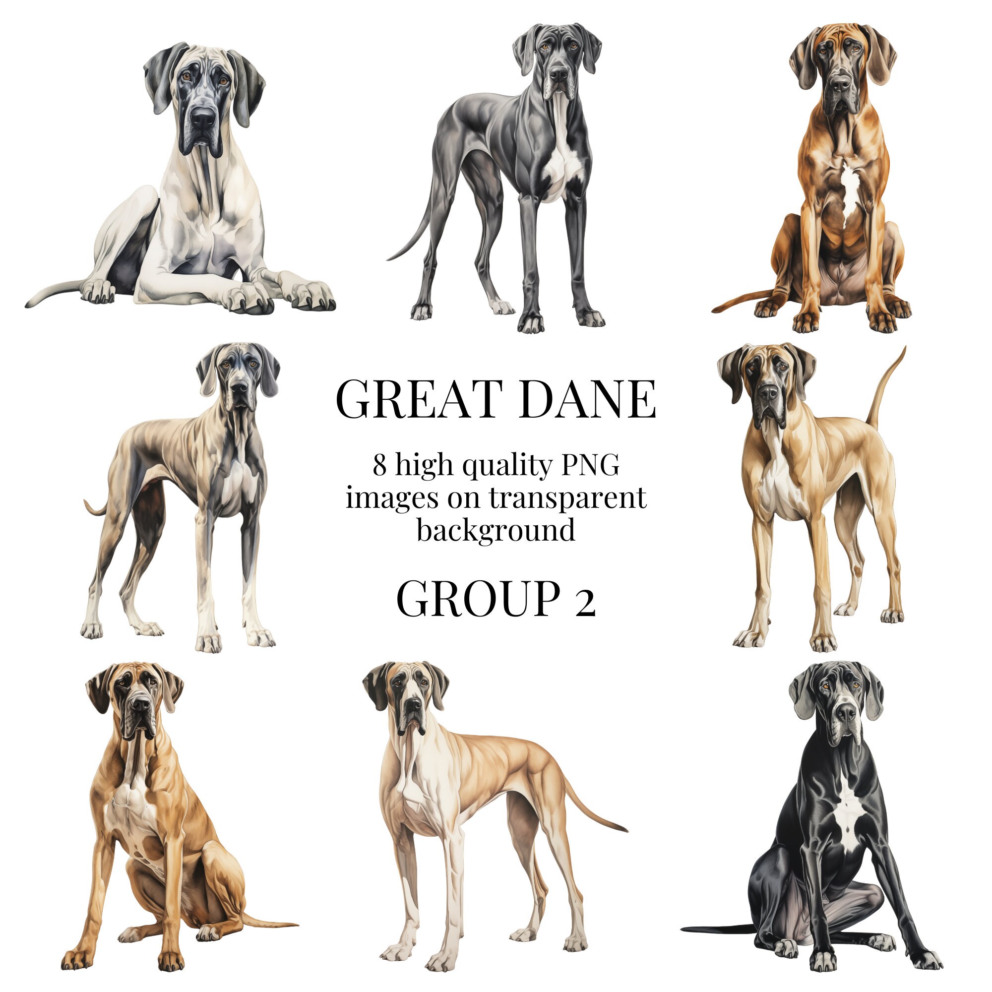 Great Dane Clipart | High-quality Transparent PNG | Watercolor ...