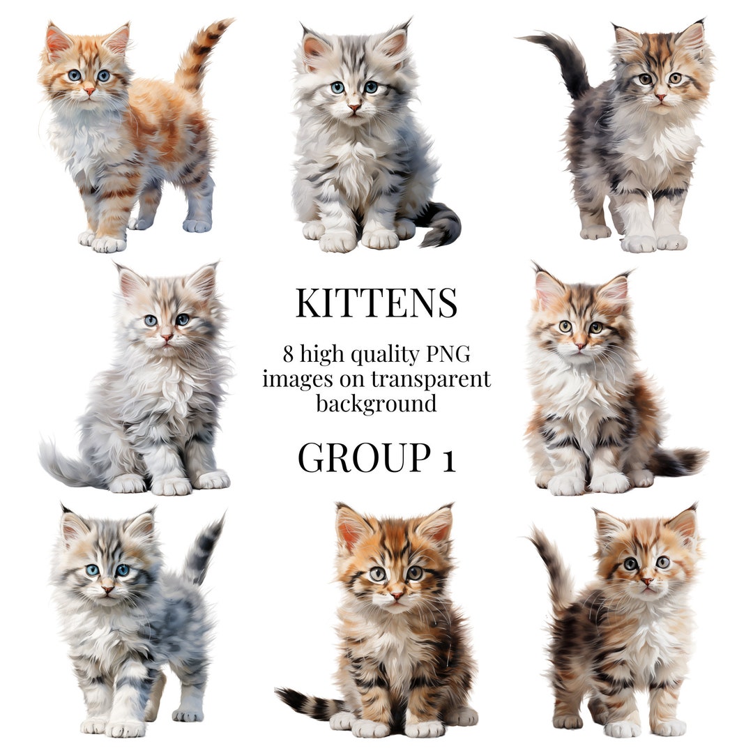 Kitten Clipart | High-quality Transparent PNG | Watercolor Cat ...