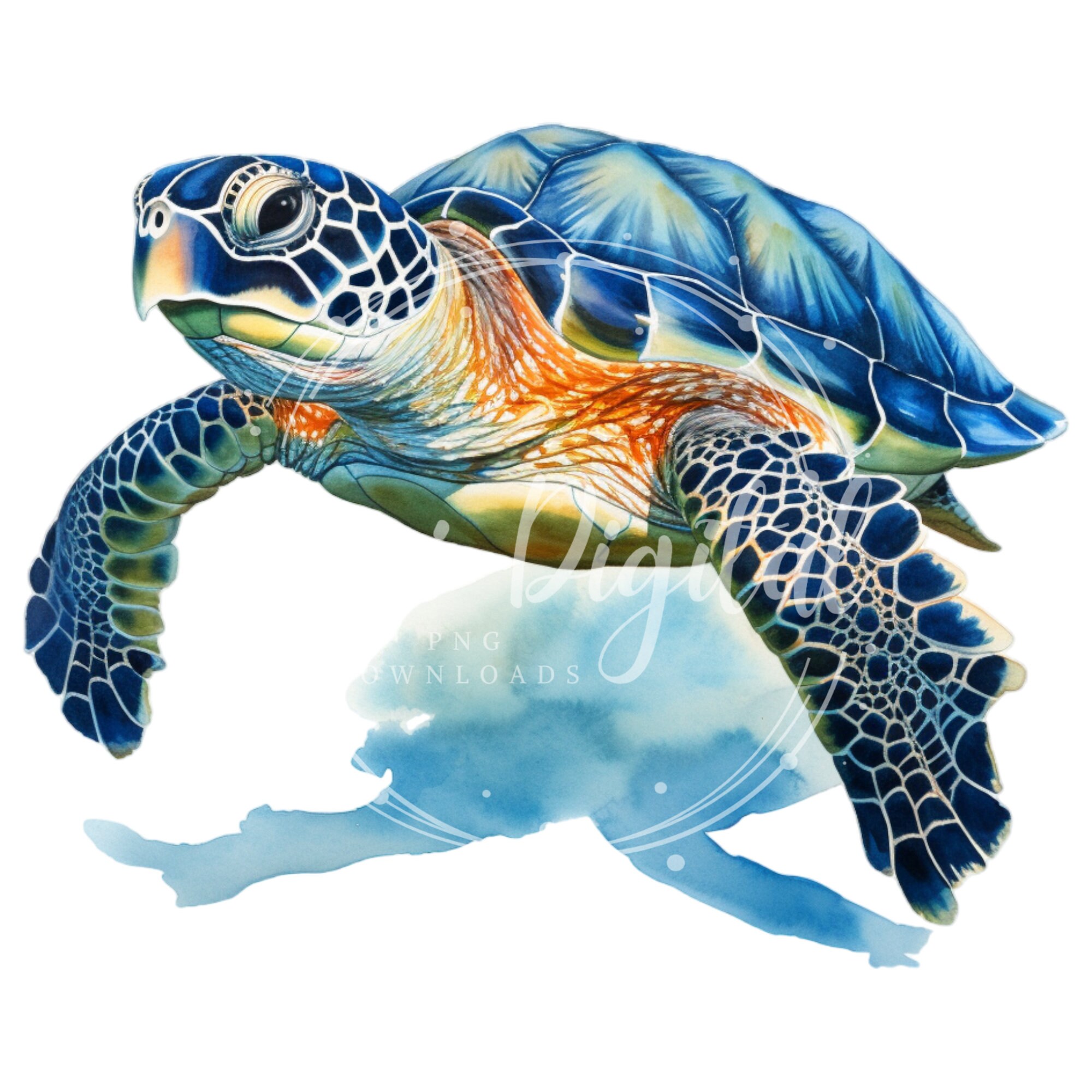 Sea Turtle Clipart High-quality Transparent PNG Watercolor Sealife ...