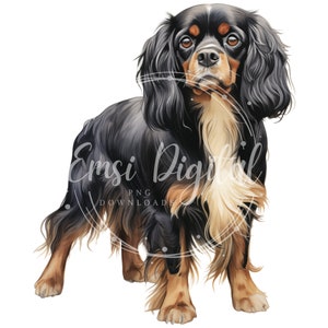 Cavalier King Charles Spaniel Clipart | High-quality Transparent PNG ...