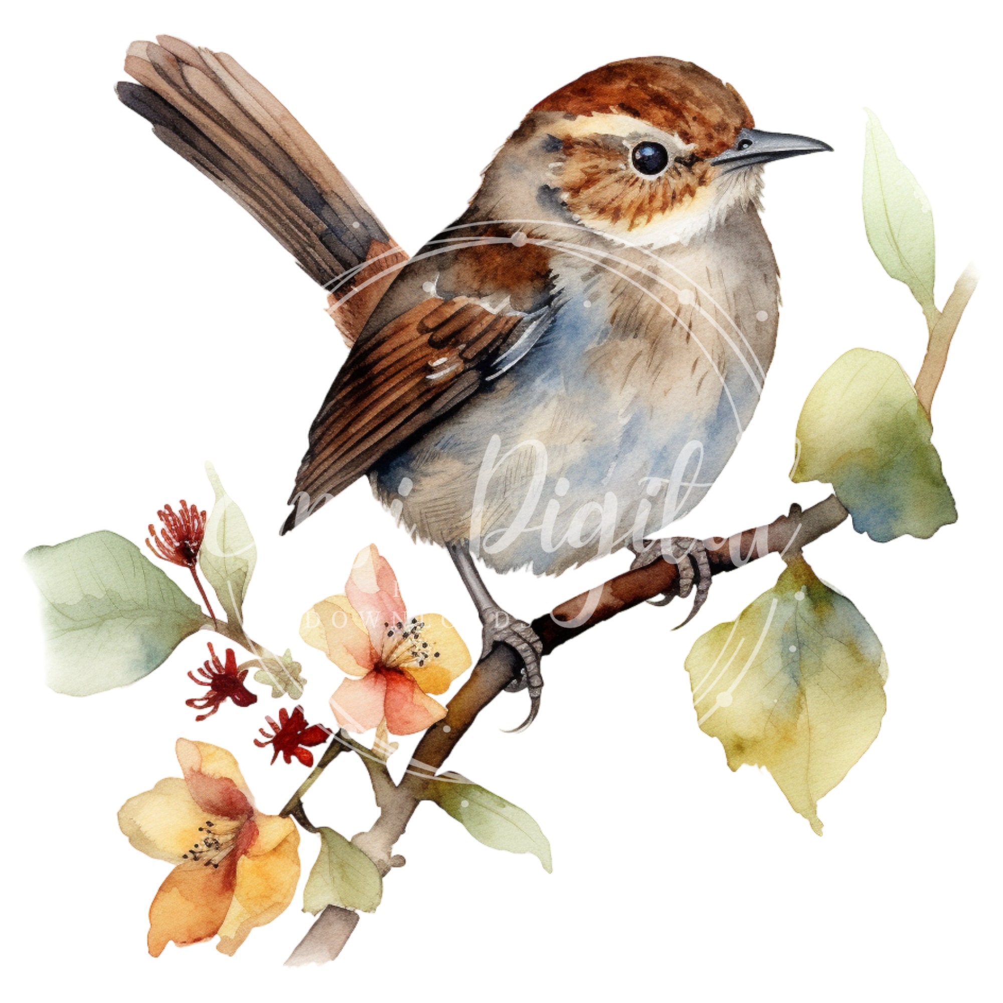 Wren Bird Clipart High-quality Transparent PNG Watercolor Illustration ...