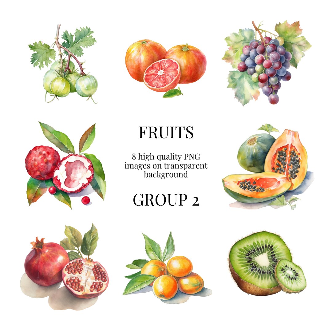Fruit Clip Art Transparent PNG Watercolor Illustration - Etsy