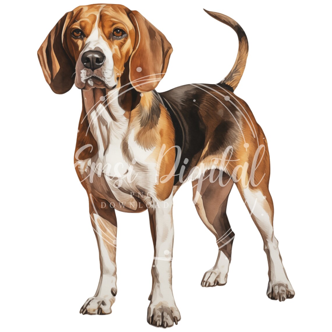 Beagle Clipart | High-quality Transparent PNG | Watercolor Hunting Dog ...