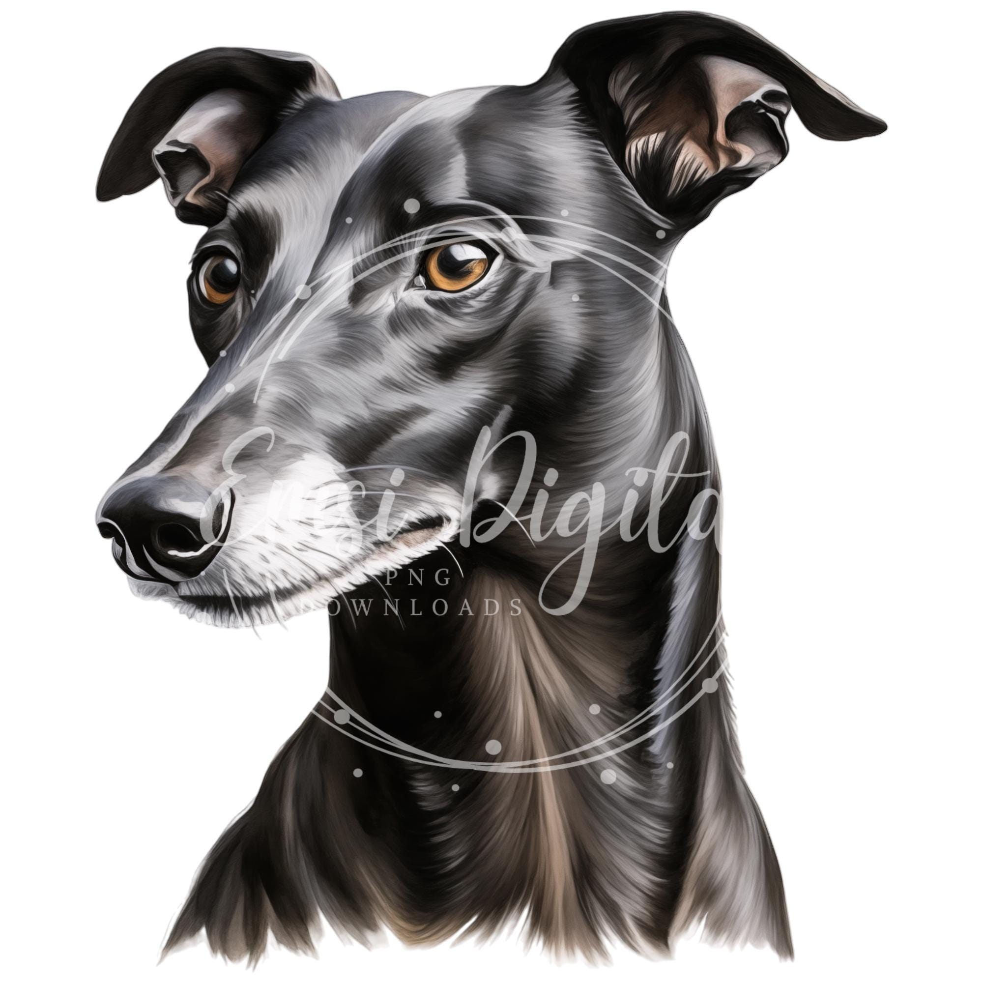 Whippet Dog Clipart | High-quality Transparent PNG | Watercolor ...