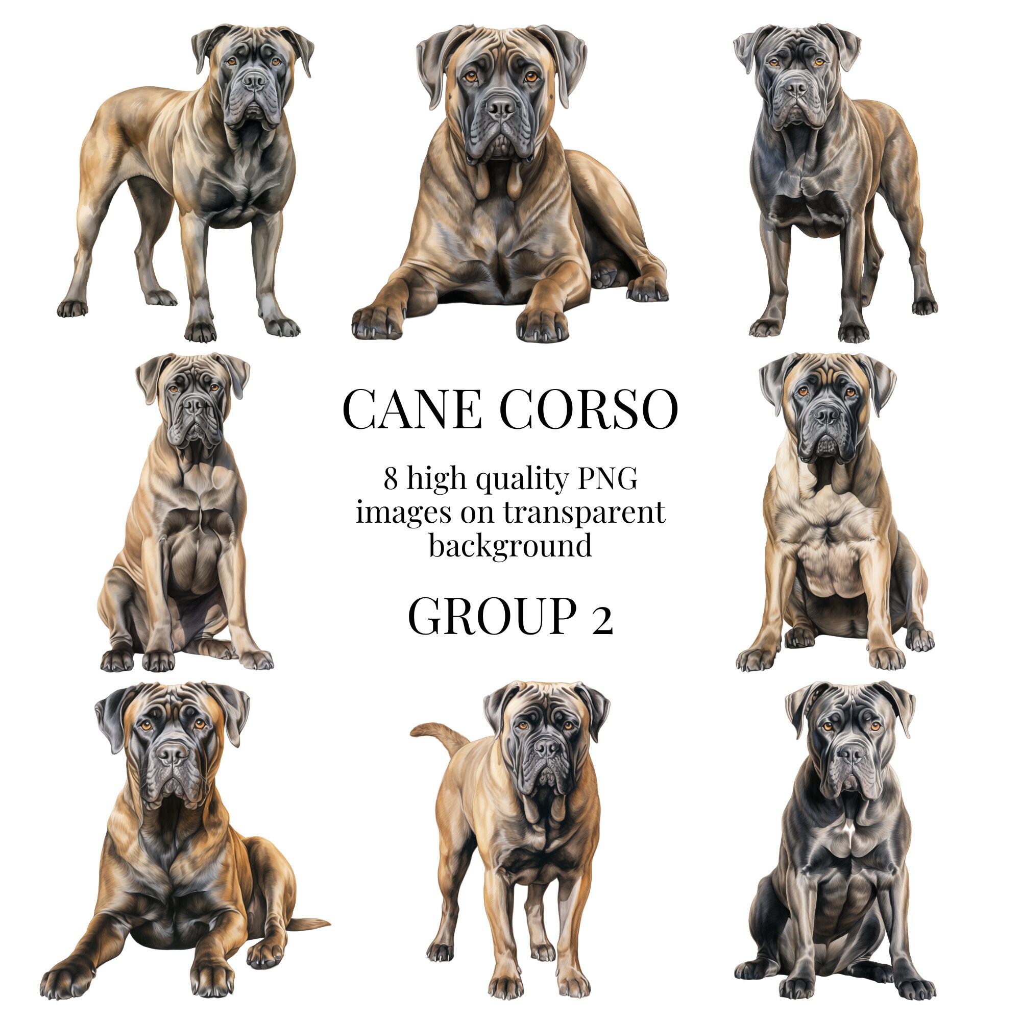 Cane Corso Clipart | High-quality Transparent PNG | Watercolor ...