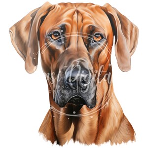 Rhodesian Ridgeback Clipart | High-quality Transparent PNG | Watercolor ...