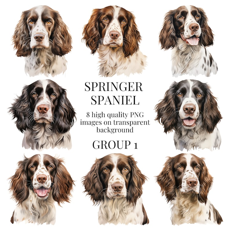 Springer Spaniel Clipart | High-quality Transparent PNG | Watercolor ...
