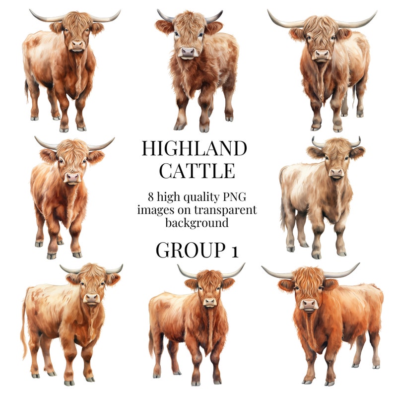 Highland Cattle Clipart | High-quality Transparent PNG | Watercolor Cow ...