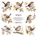 Wren Bird Clipart High-quality Transparent PNG Watercolor Illustration ...