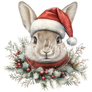 Christmas Woodland Animals Clipart | High-quality Transparent PNG ...
