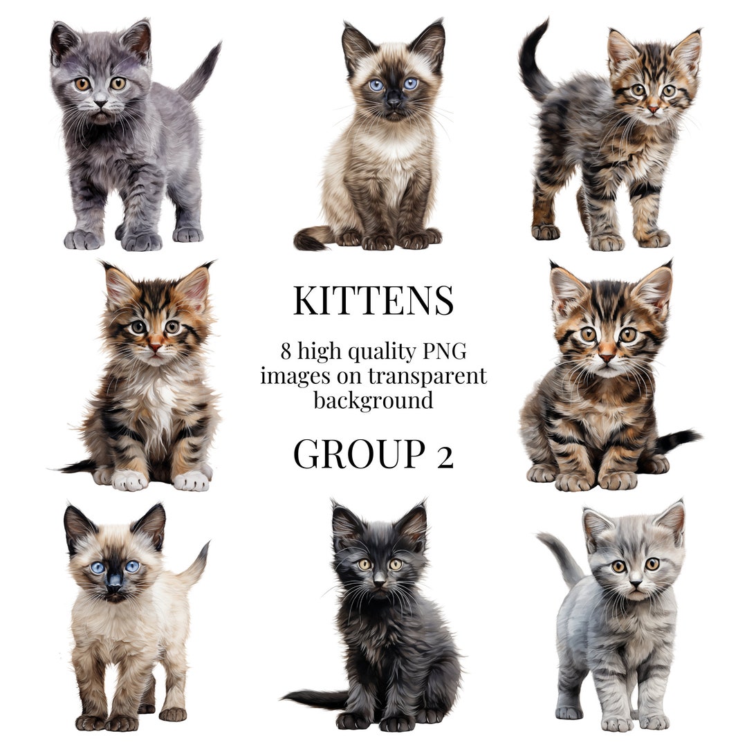 Kitten Clipart | High-quality Transparent PNG | Watercolor Cat ...