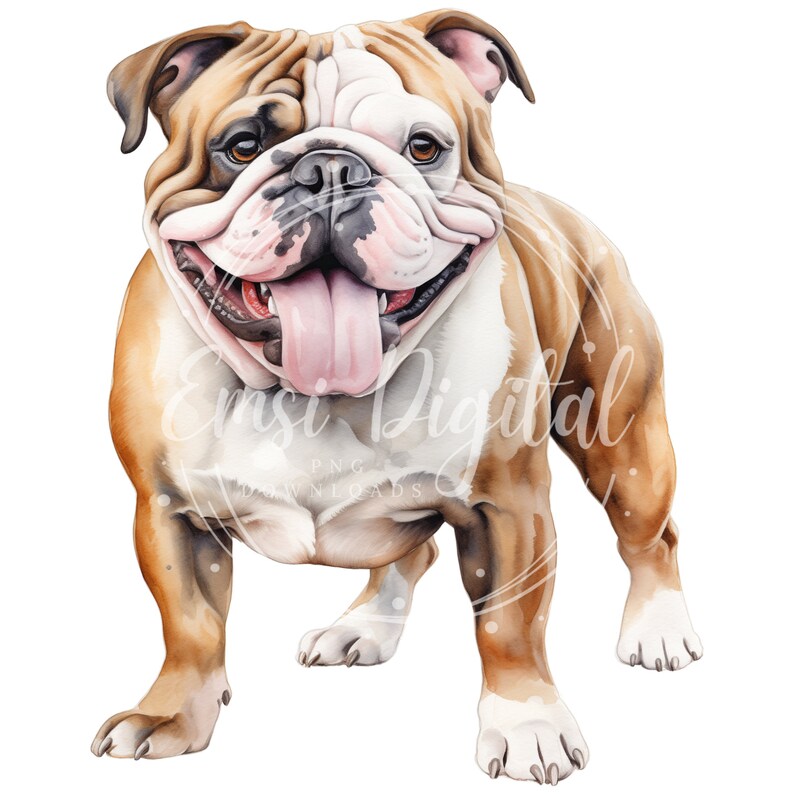 British Bulldog Clipart | High-quality Transparent PNG | Watercolor ...