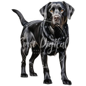 Black Labrador Clipart | High-quality Transparent PNG | Watercolor Dog ...