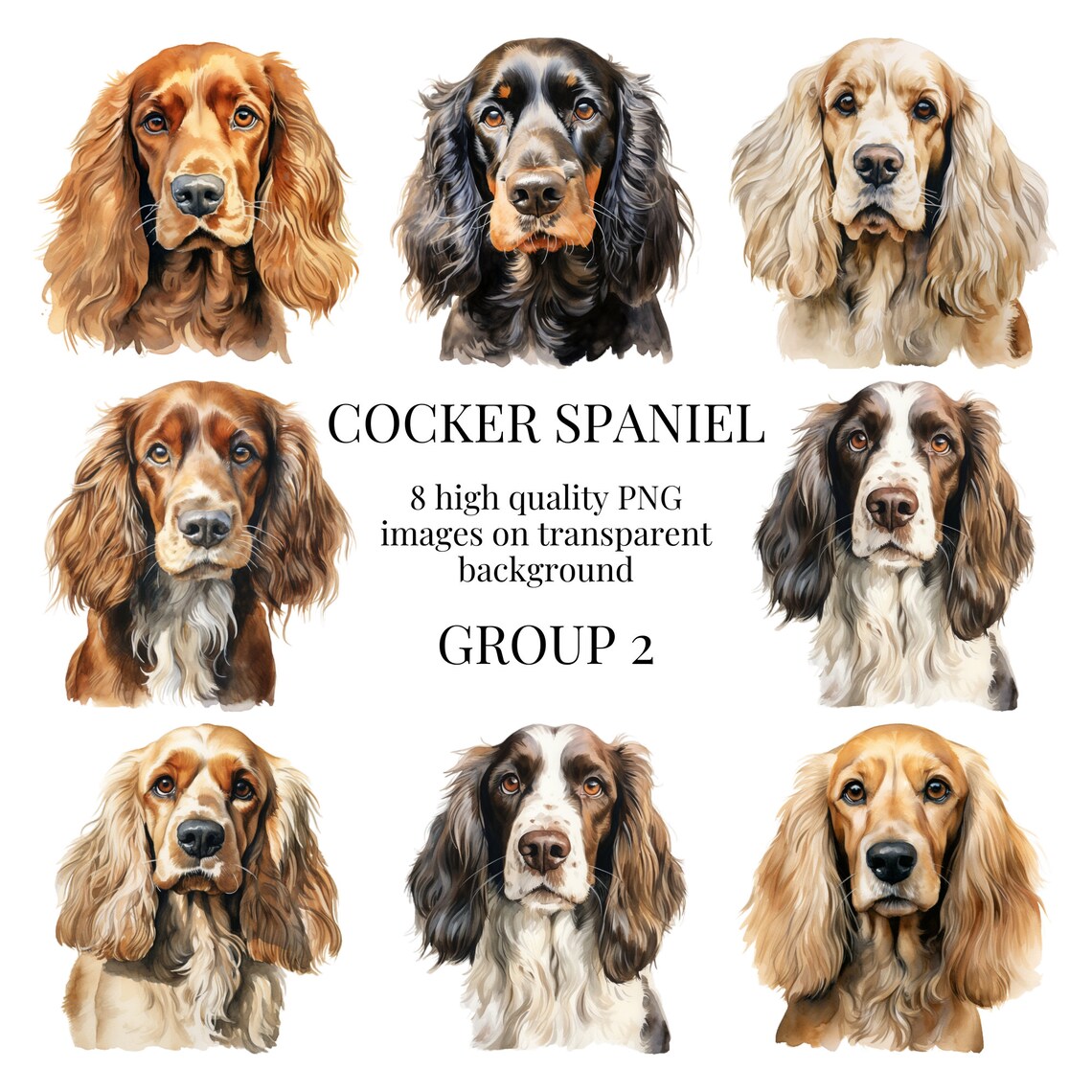 Cocker Spaniel Clipart High-quality Transparent PNG Watercolor Dog ...