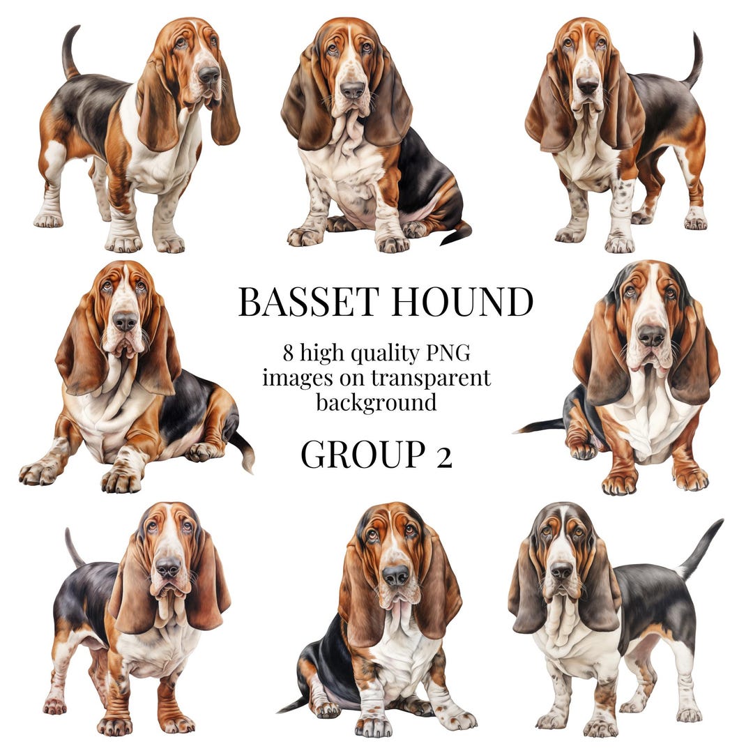 Basset Hound Clipart | High-quality Transparent PNG | Watercolor Dog ...