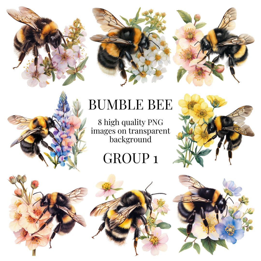 Bumble Bee Clipart | High-quality Transparent PNG | Watercolor Bug ...