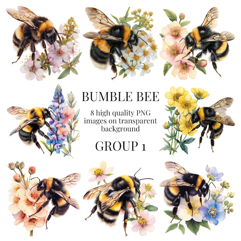 Bumble Bee Clipart - Etsy