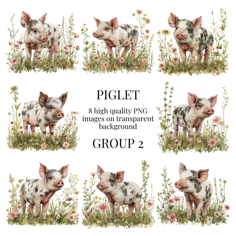 Piglet Clipart | High-quality Transparent PNG | Watercolor Pig ...