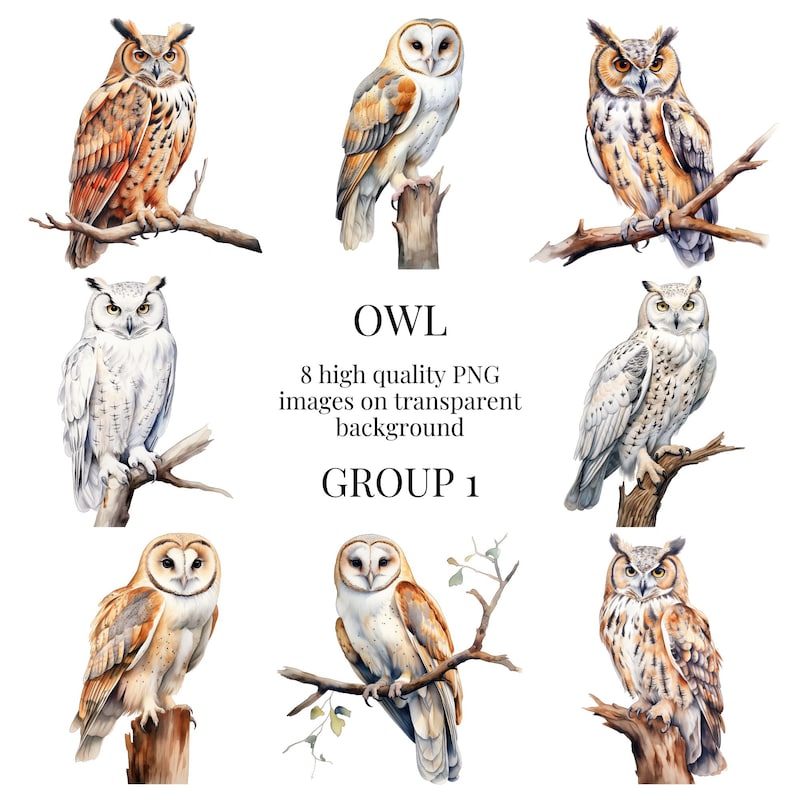 Wise Owl Clip Art - Etsy