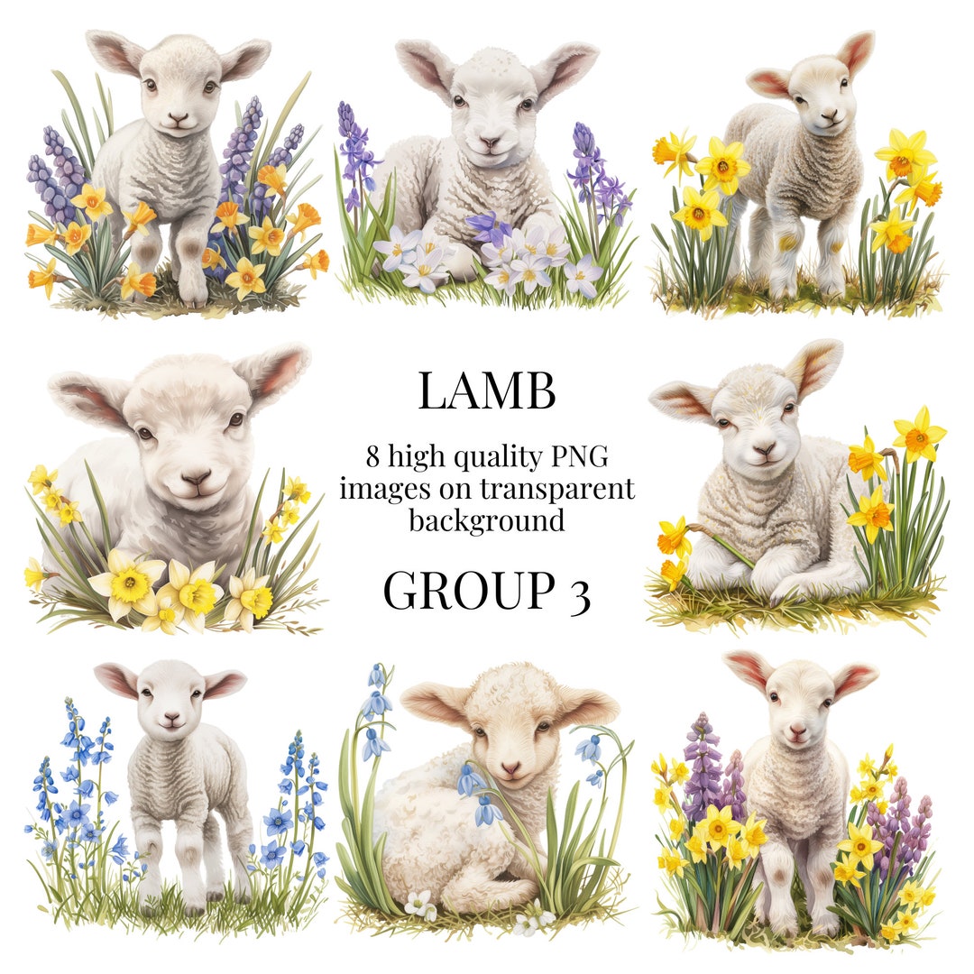 Spring Lamb Clipart | High-quality Transparent PNG | Watercolor Sheep ...
