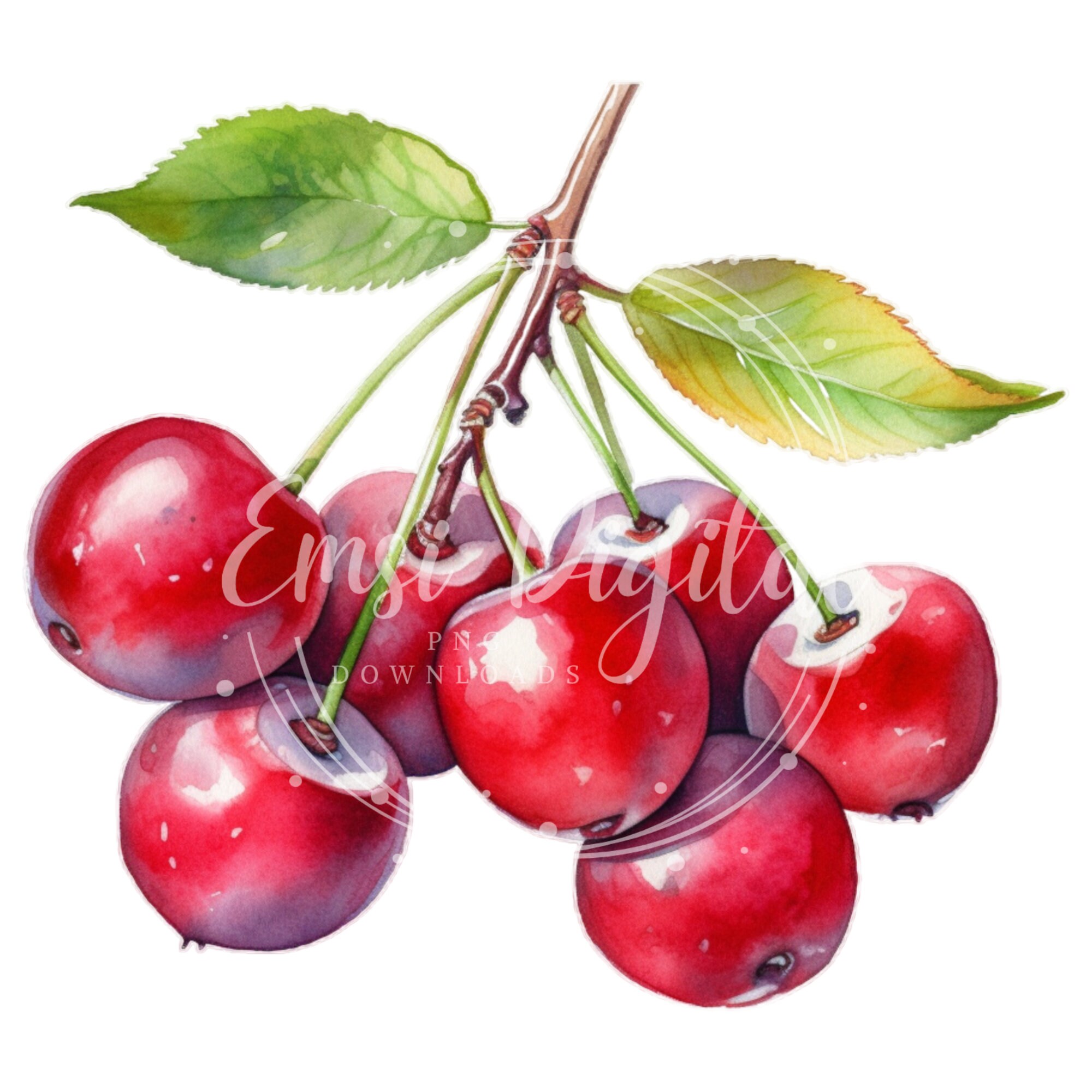 Fruit Clip Art | Transparent PNG | Watercolor Illustration | Kitchen ...