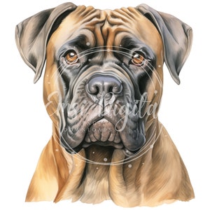 Cane Corso Clipart | High-quality Transparent PNG | Watercolor ...