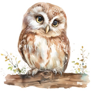 Owl Clipart | High-quality Transparent PNG | Watercolor Illustration ...