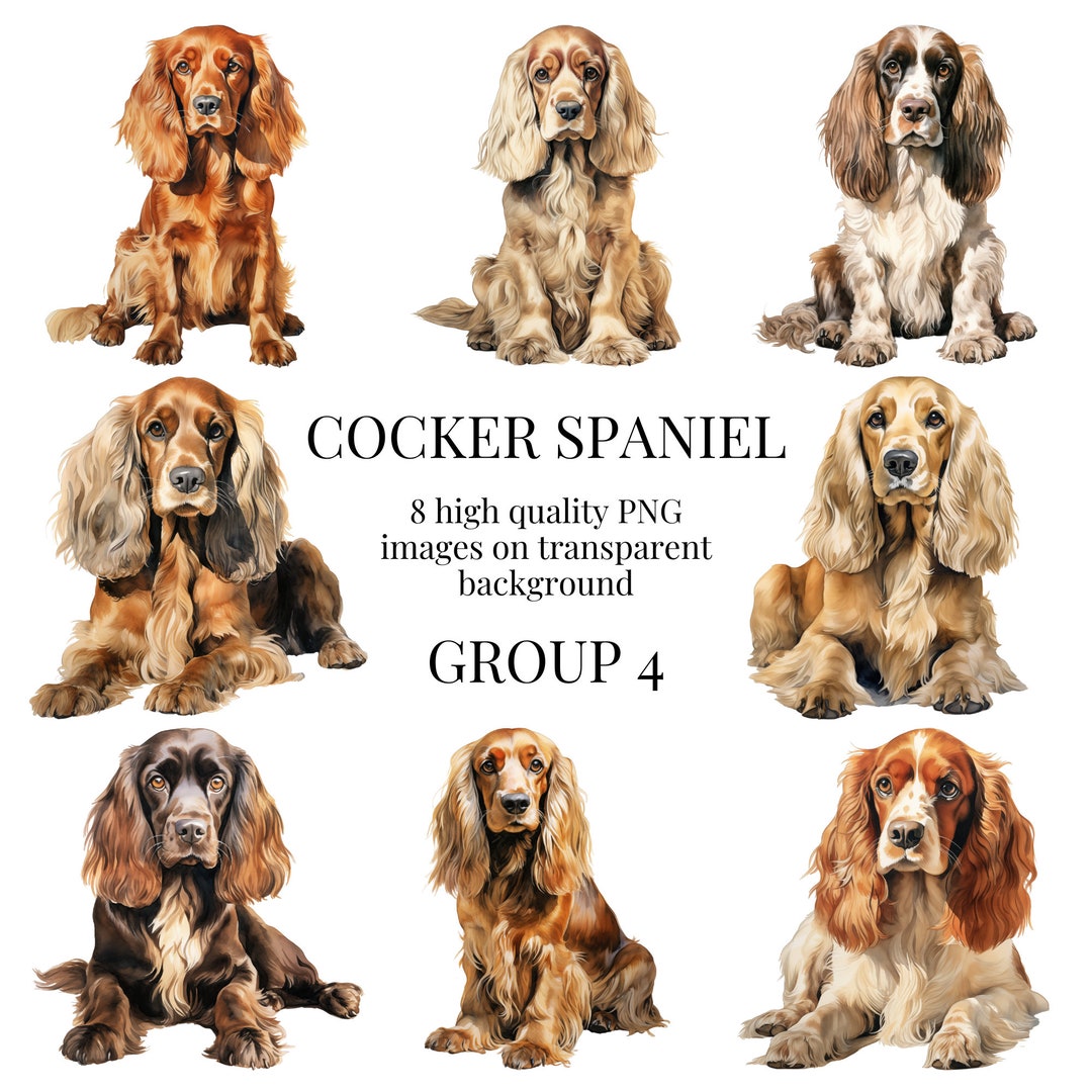 Cocker Spaniel Clipart | High-quality Transparent PNG | Watercolor Dog ...