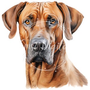 Rhodesian Ridgeback Clipart | High-quality Transparent PNG | Watercolor ...