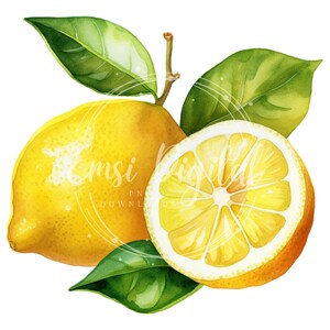 Fruit Clip Art | Transparent PNG | Watercolor Illustration | Kitchen ...
