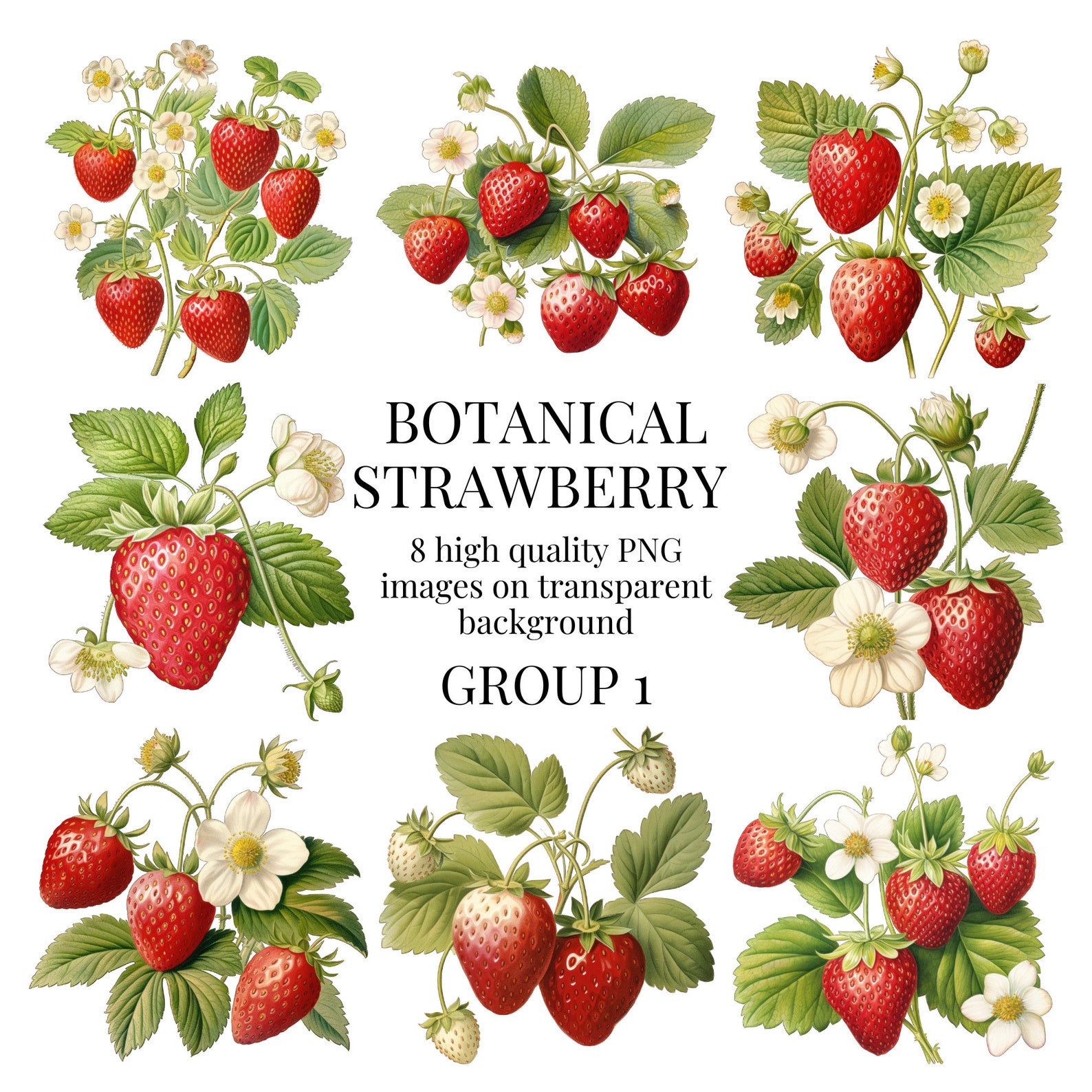 Botanical Strawberry Clipart | High-quality Transparent PNG ...