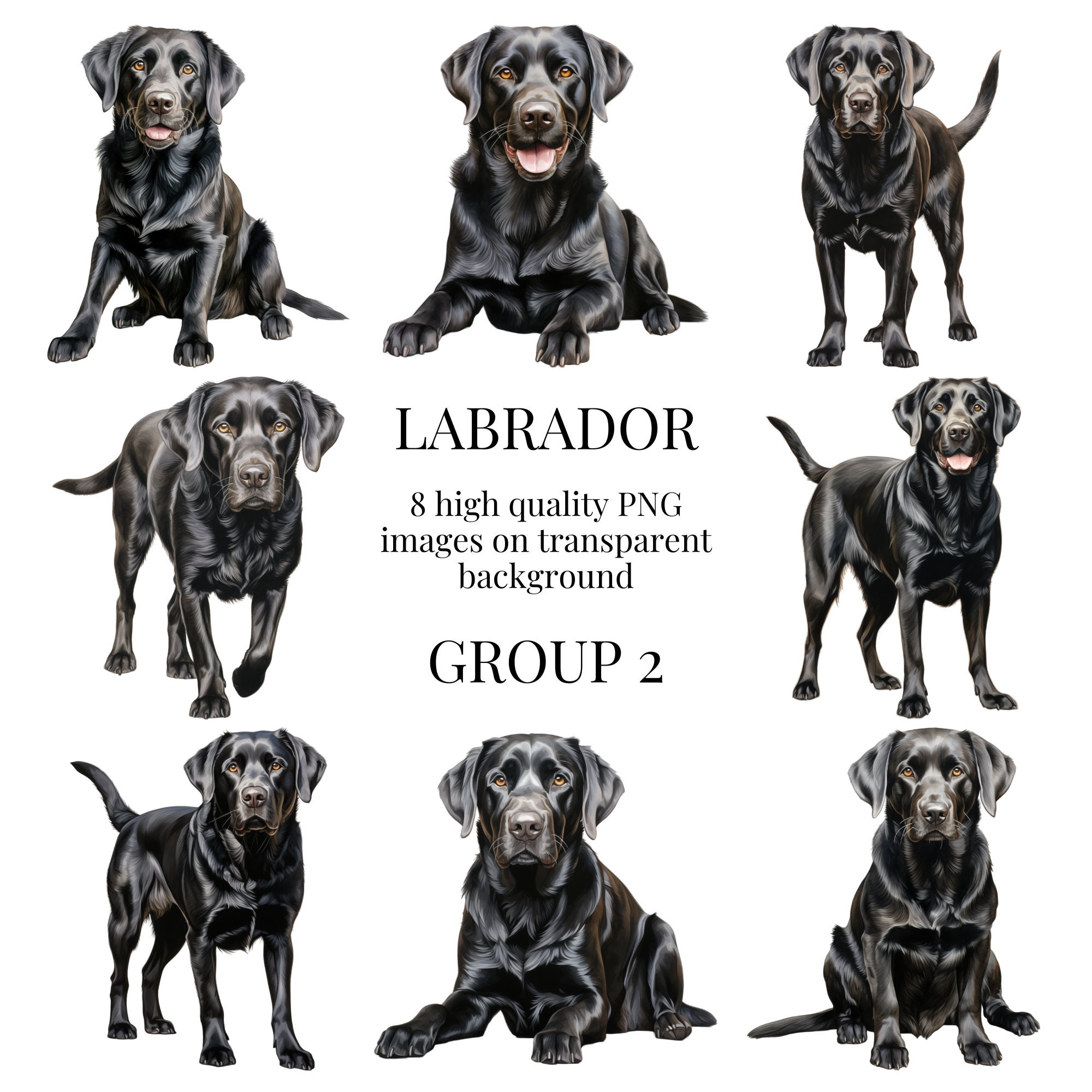 Black Labrador Clipart | High-quality Transparent PNG | Watercolor Dog ...