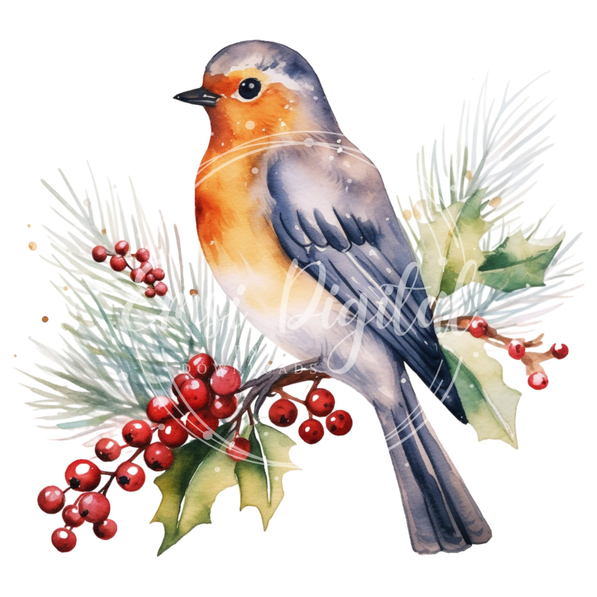 Christmas Robin Clipart High-quality Transparent PNG - Etsy