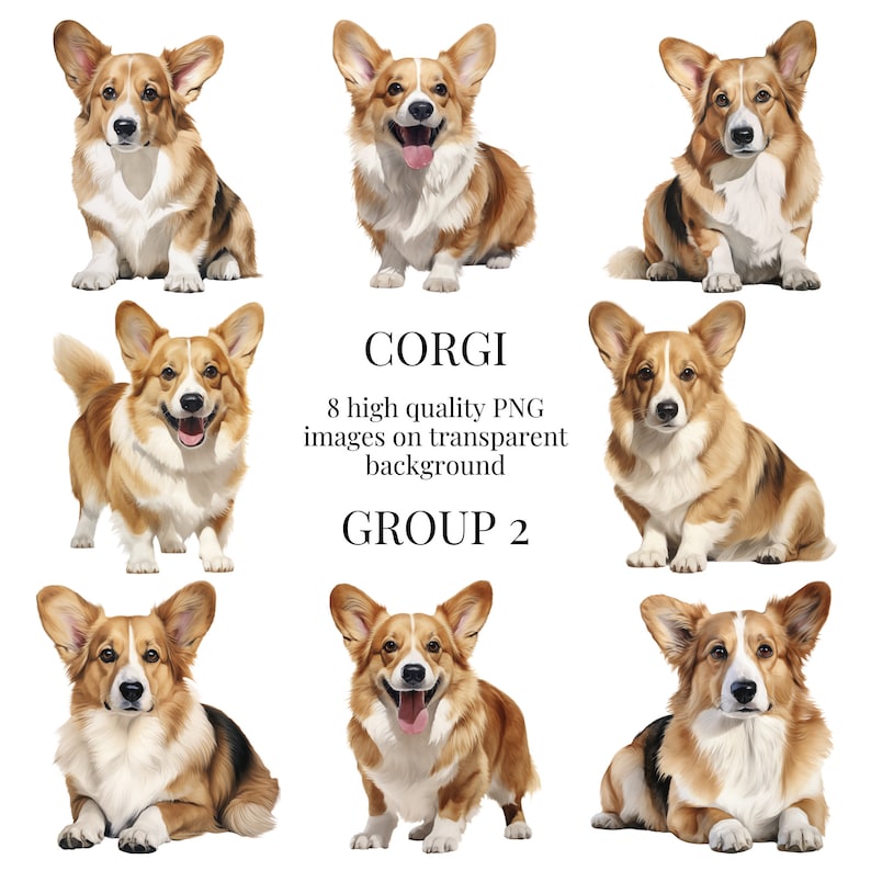 Pembroke Welsh Corgi Clipart | High-quality Transparent PNG ...