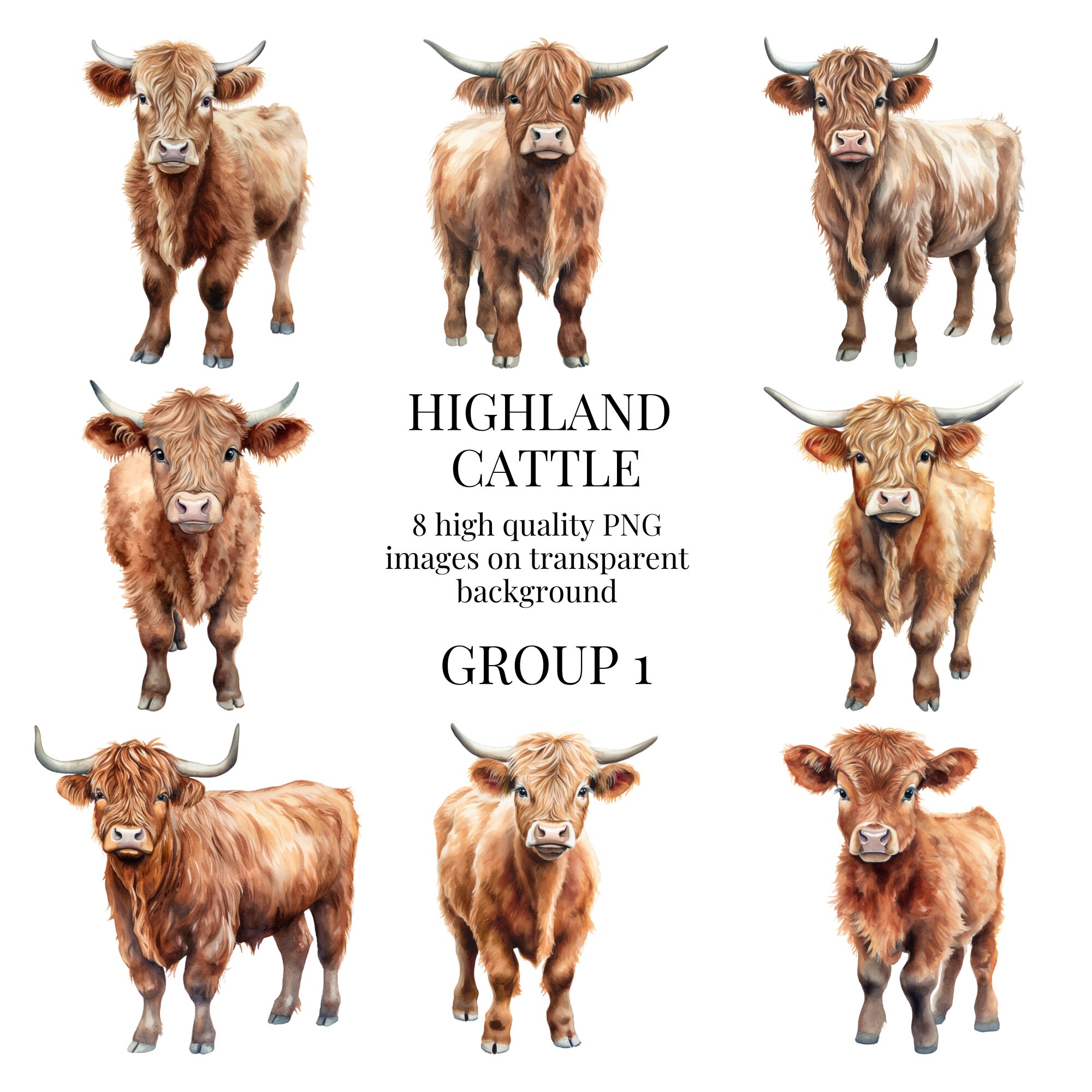 Highland Cattle Clipart High-quality Transparent PNG - Etsy