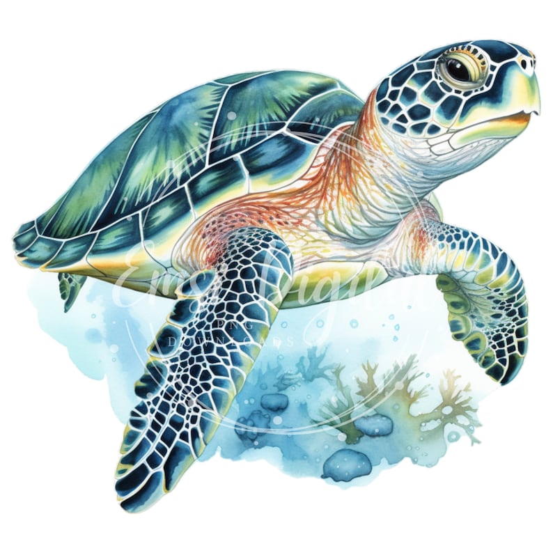 Sea Turtle Clipart High-quality Transparent PNG Watercolor Sealife ...