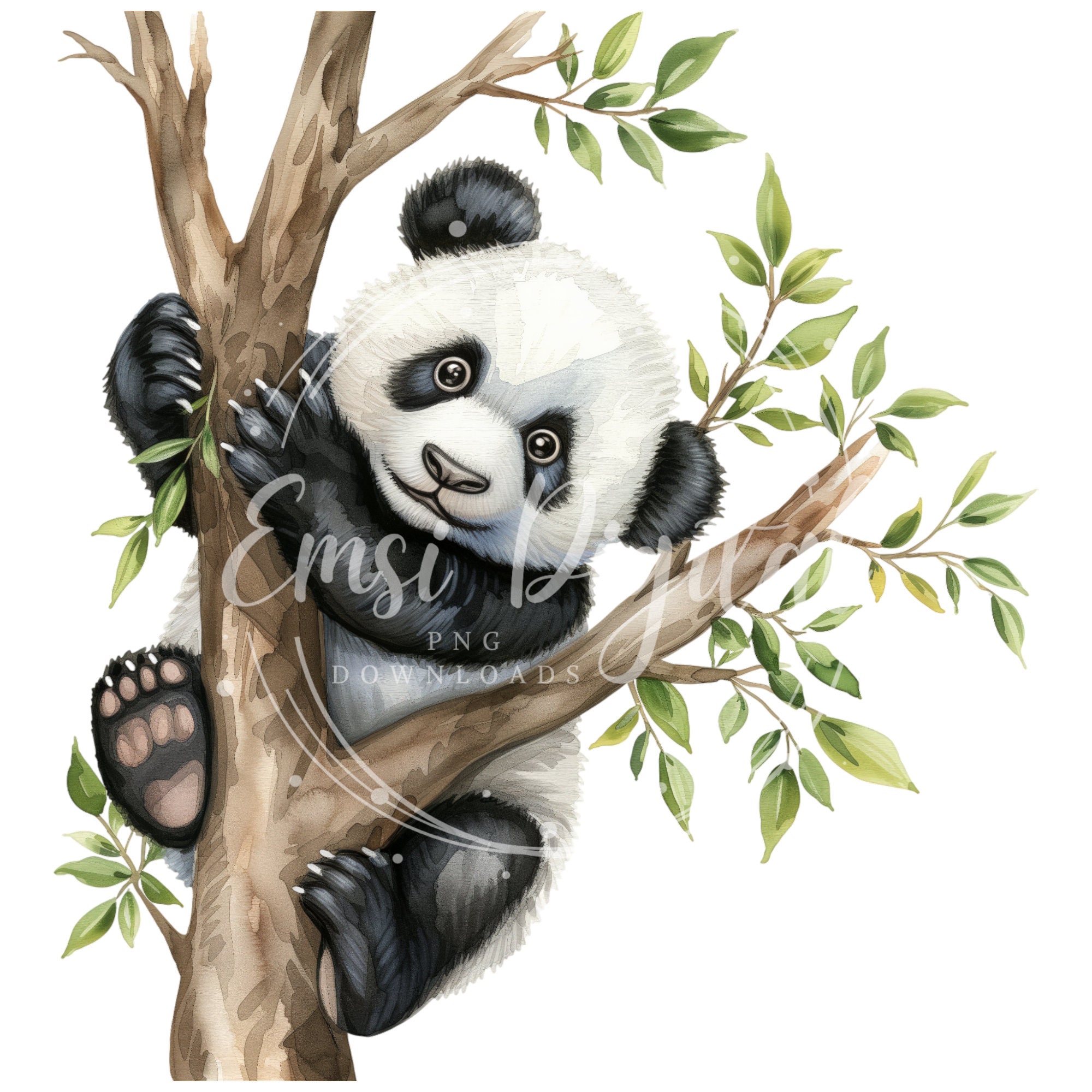 Giant Panda Clipart | High-quality Transparent PNG | Watercolor Bear ...