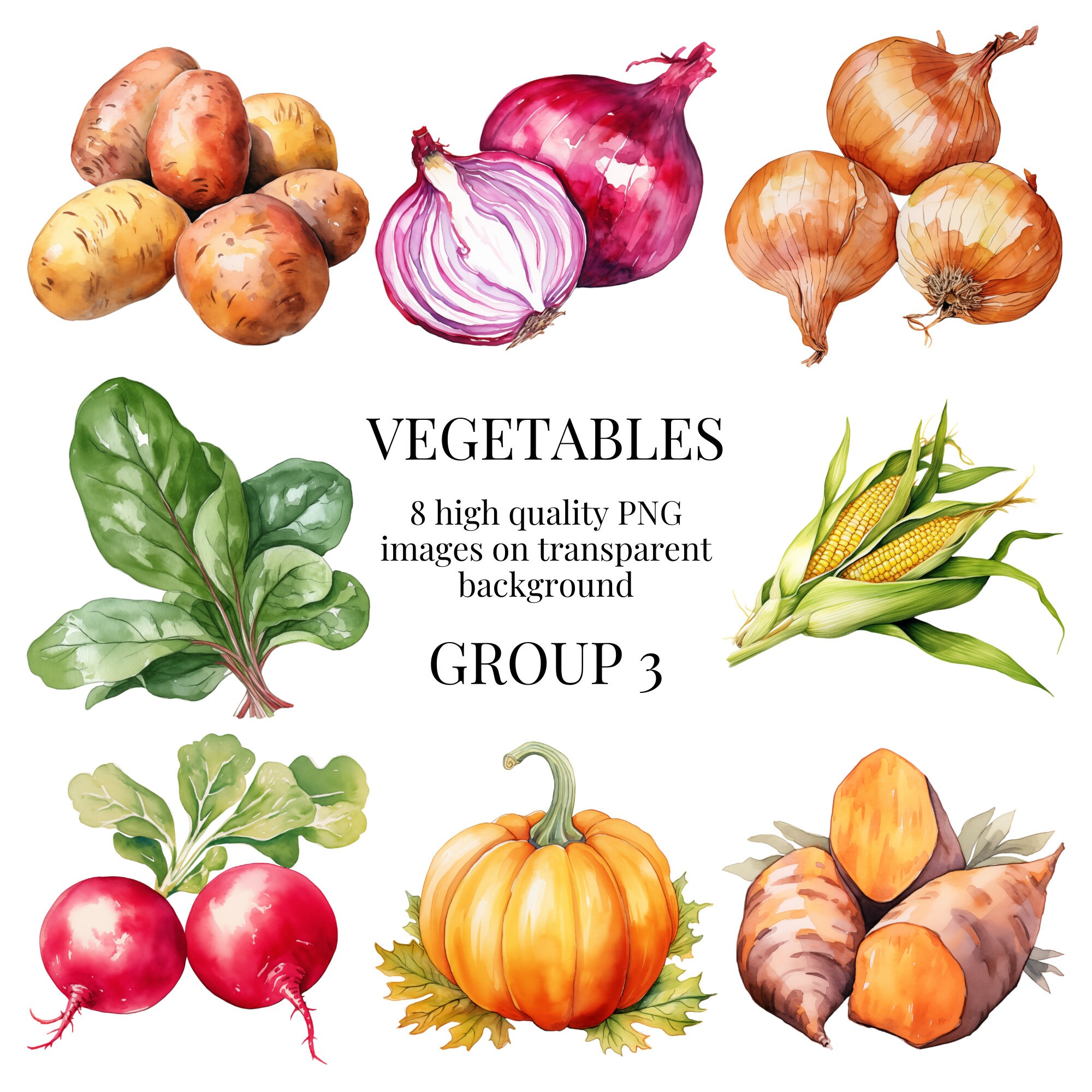 Vegetable Clipart Transparent PNG High-quality Watercolor Illustration ...