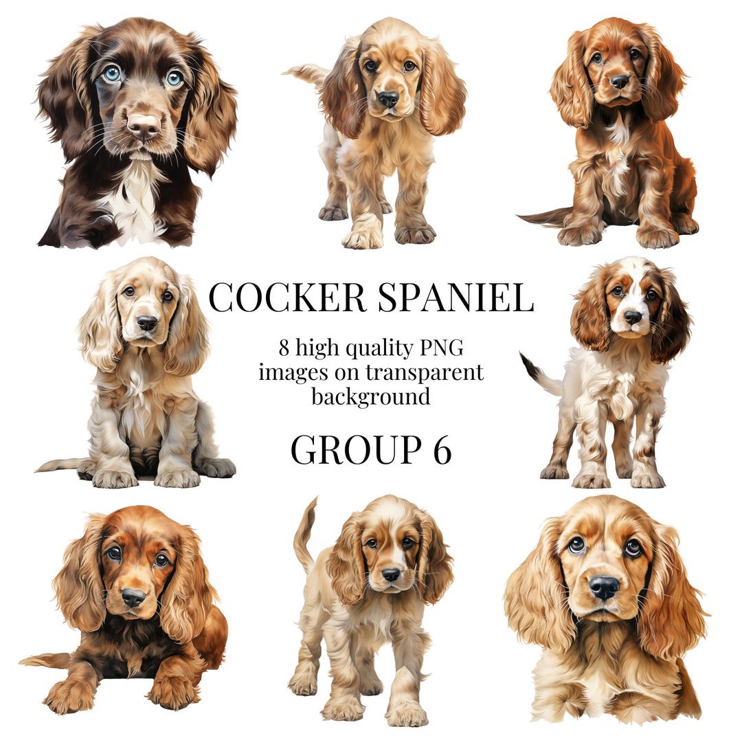Cocker Spaniel Puppy Clipart | High-quality Transparent PNG ...