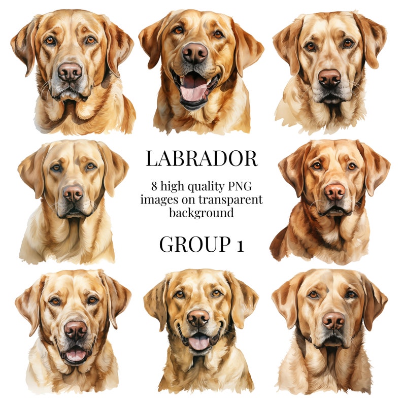Yellow Labrador Clipart | High-quality Transparent PNG | Watercolor Dog ...