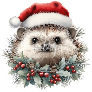 Christmas Woodland Animals Clipart | High-quality Transparent PNG ...