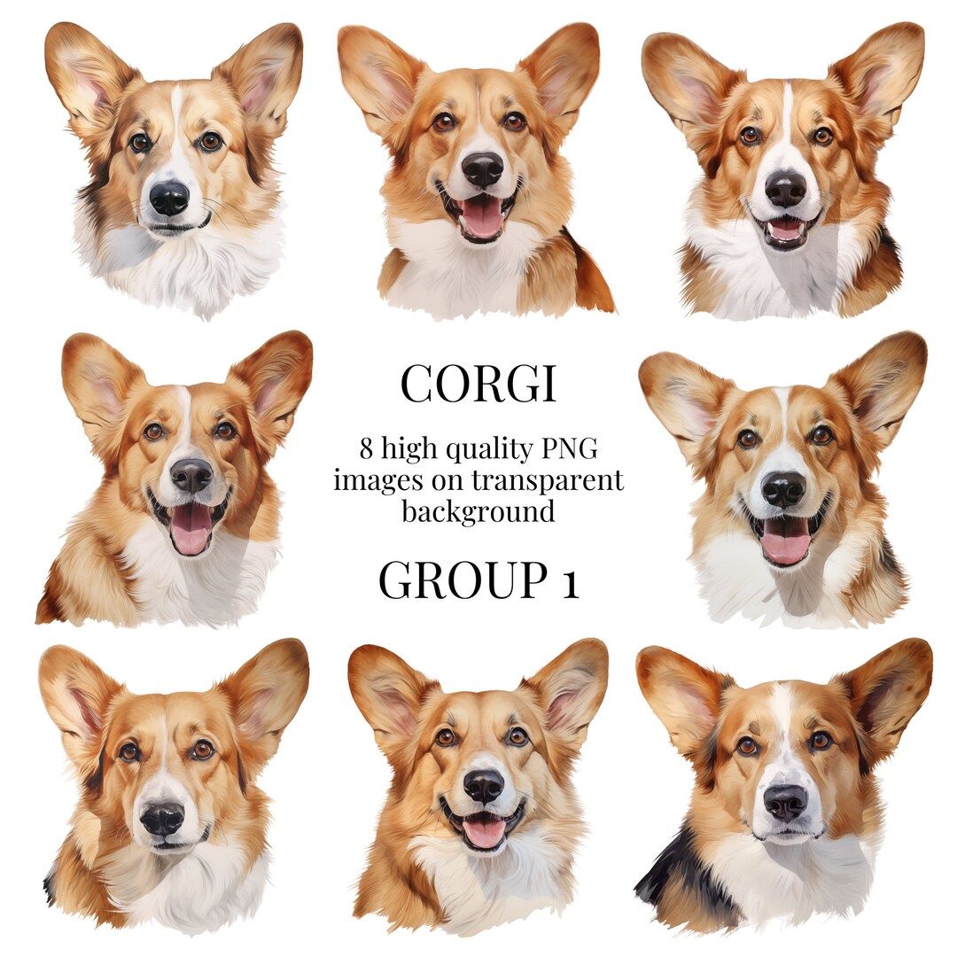 Pembroke Welsh Corgi Clipart | High-quality Transparent PNG ...