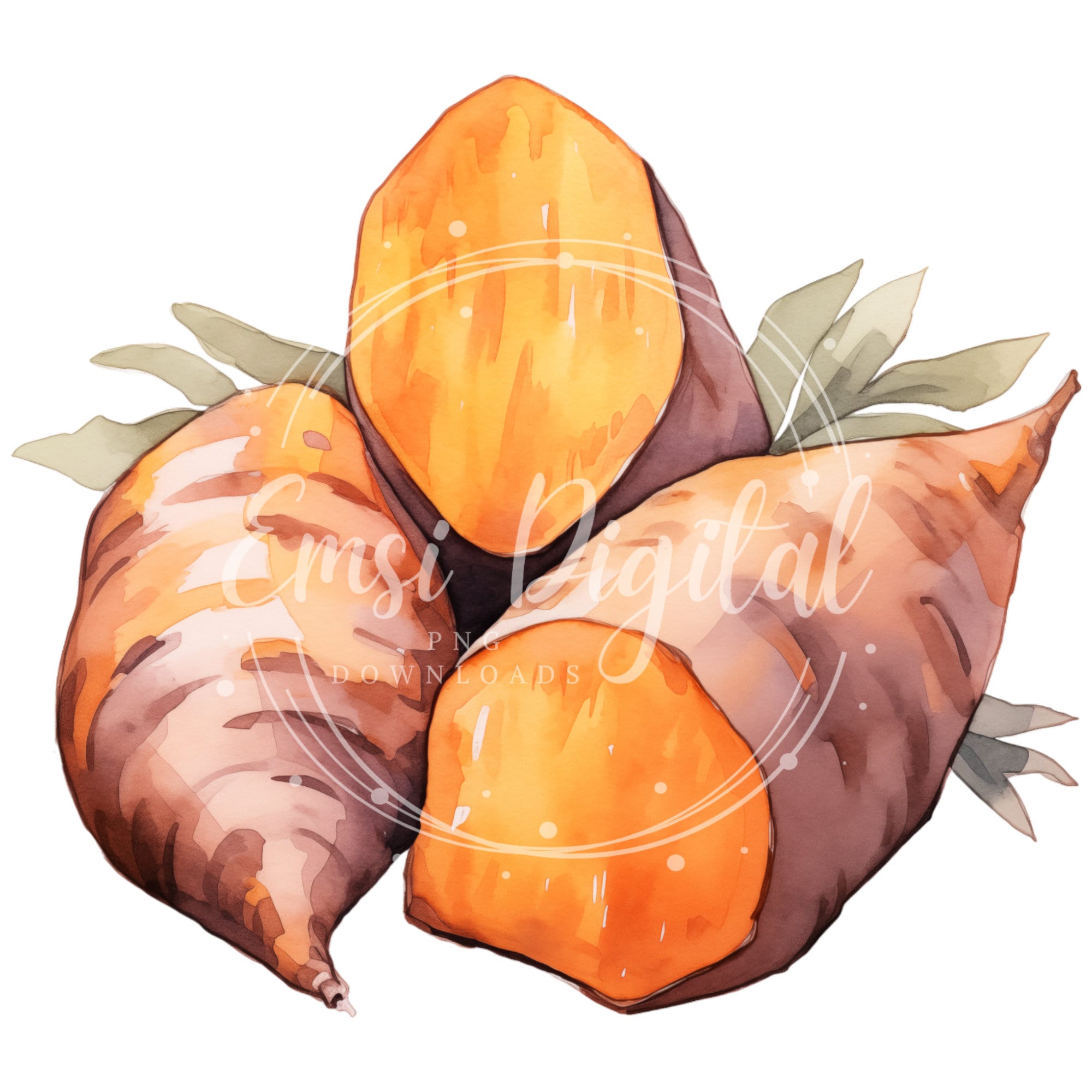 Vegetable Clipart | Transparent PNG | High-quality Watercolor ...