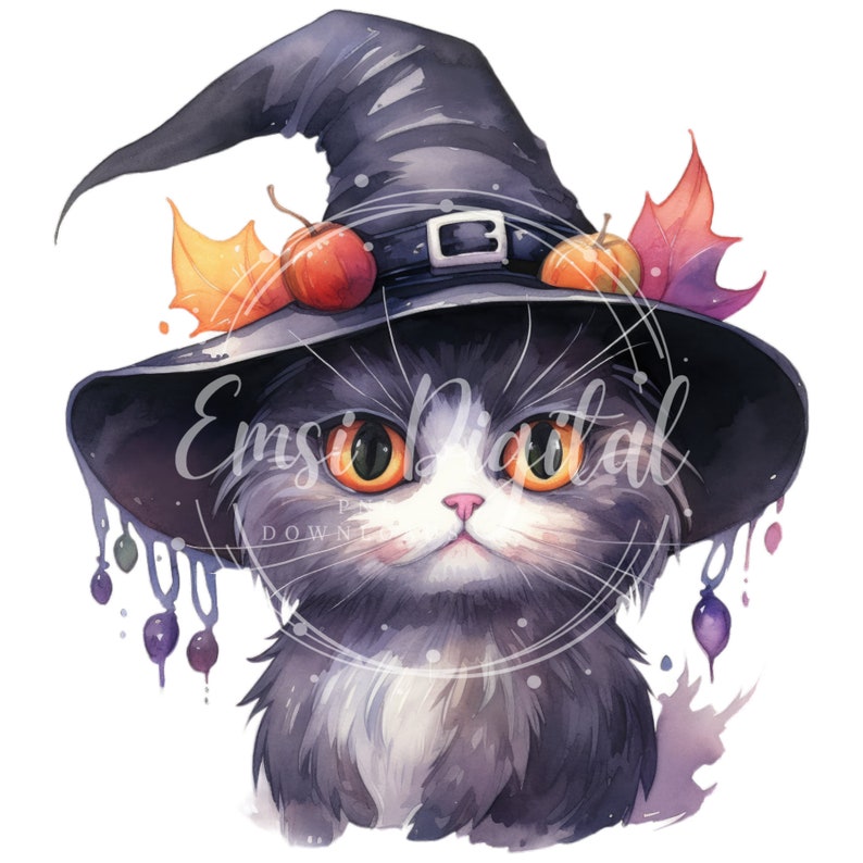 Halloween Witch Cat Clipart High-quality Transparent PNG - Etsy