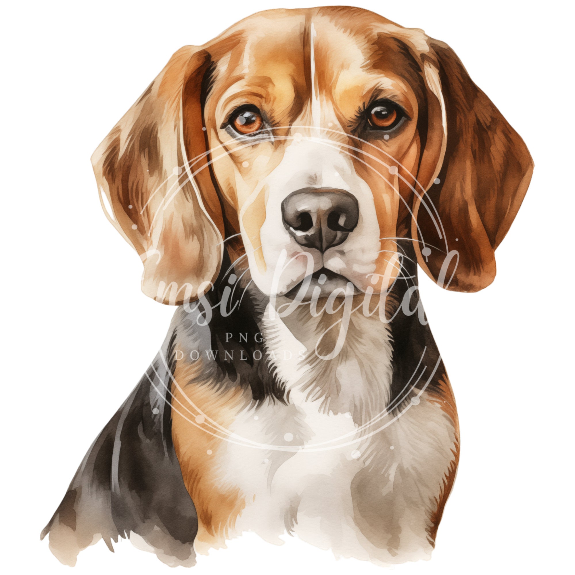 Beagle Clipart | High-quality Transparent PNG | Watercolor Hunting Dog ...
