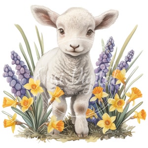Spring Lamb Clipart | High-quality Transparent PNG | Watercolor Sheep ...