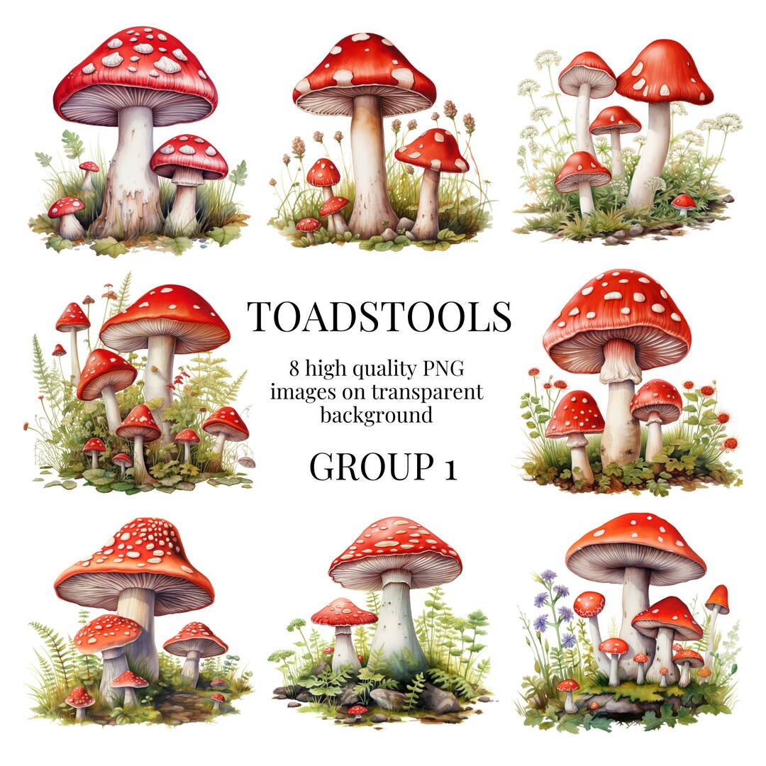 Toadstools Clipart | High-quality Transparent PNG | Watercolor Woodland ...