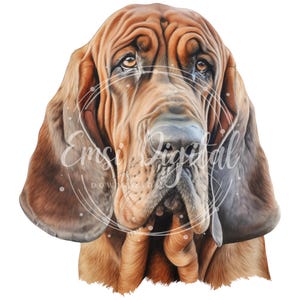 Bloodhound Clipart | High-quality Transparent PNG | Watercolor Dog ...