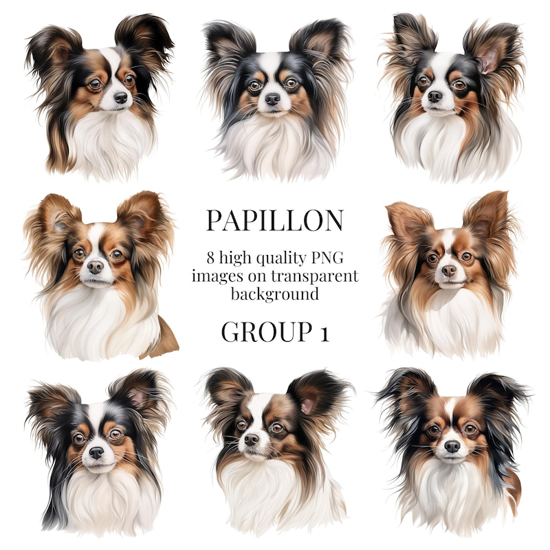 Papillon Art - Etsy